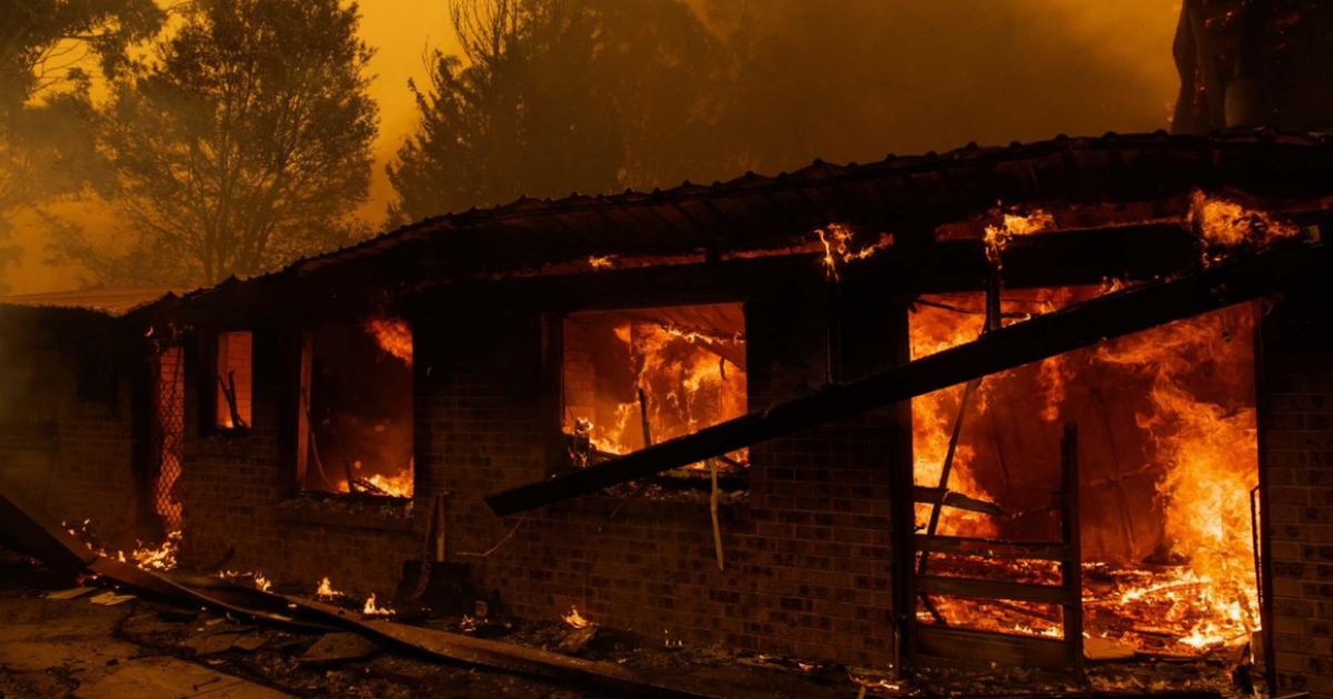 What We Do | Three Years On From The Black Summer Bushfires | Our ...